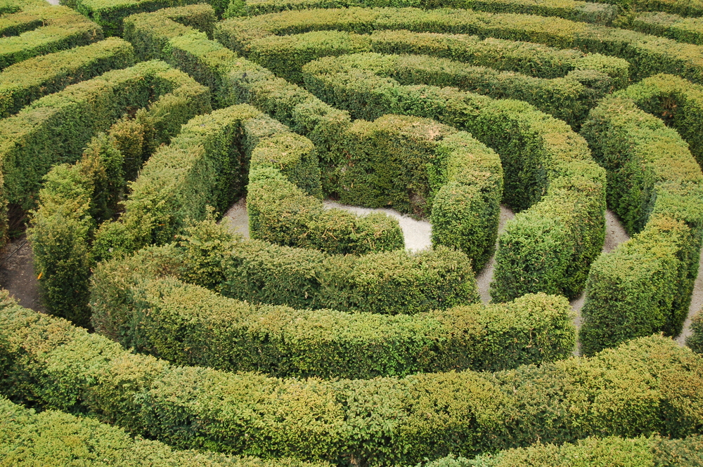 How to Use (Not Abuse) Parentheses | MLA Style Center